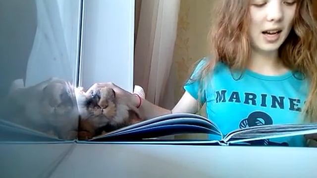 #СказкиНаНочь