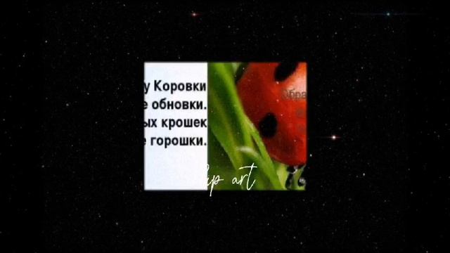 Божья коровка