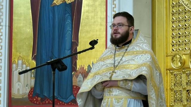 Проповедь иерея Давида Рожина на воскресной литургии (16.10.22 г.)