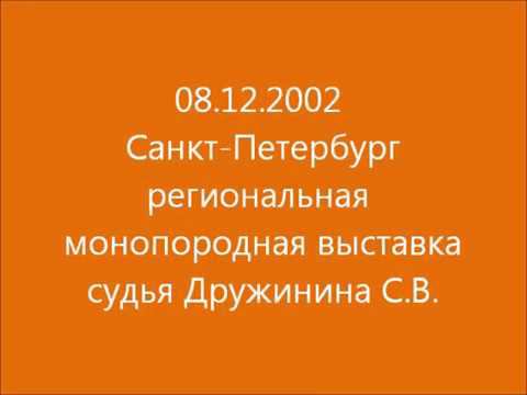 Московская сторожевая, монопородная выставка 08.12.2002 в СПб
