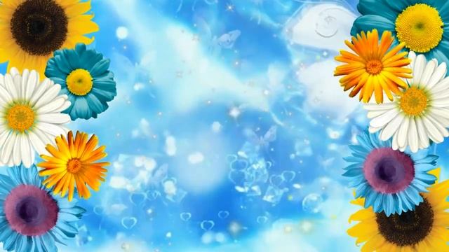 футаж. цветы