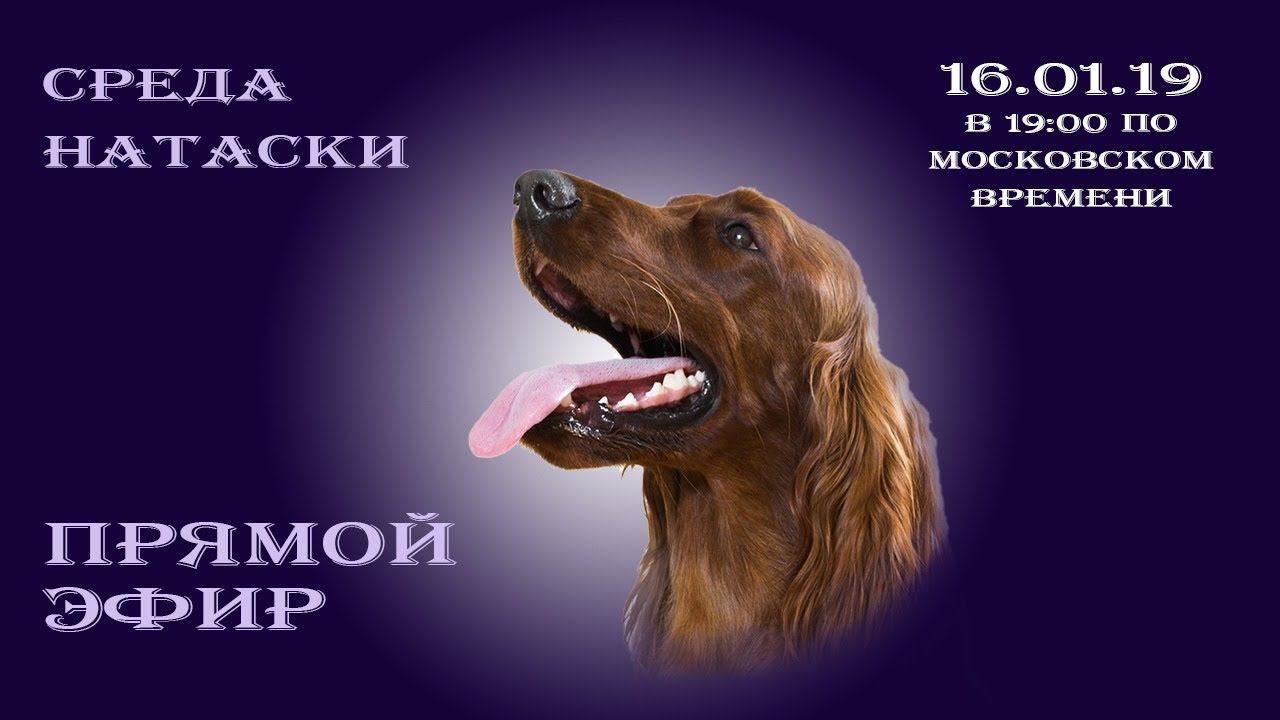 "Среда натаски" 16 января в 19 часов