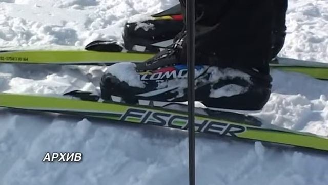 Соревнования по лыжам. Февраль 2011 год.