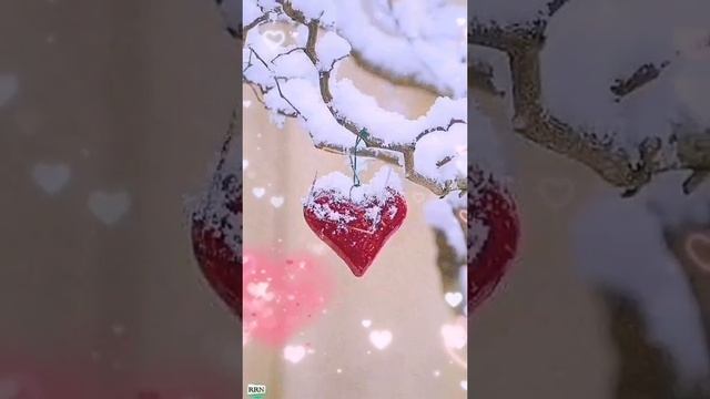 Счастья в Новом году!