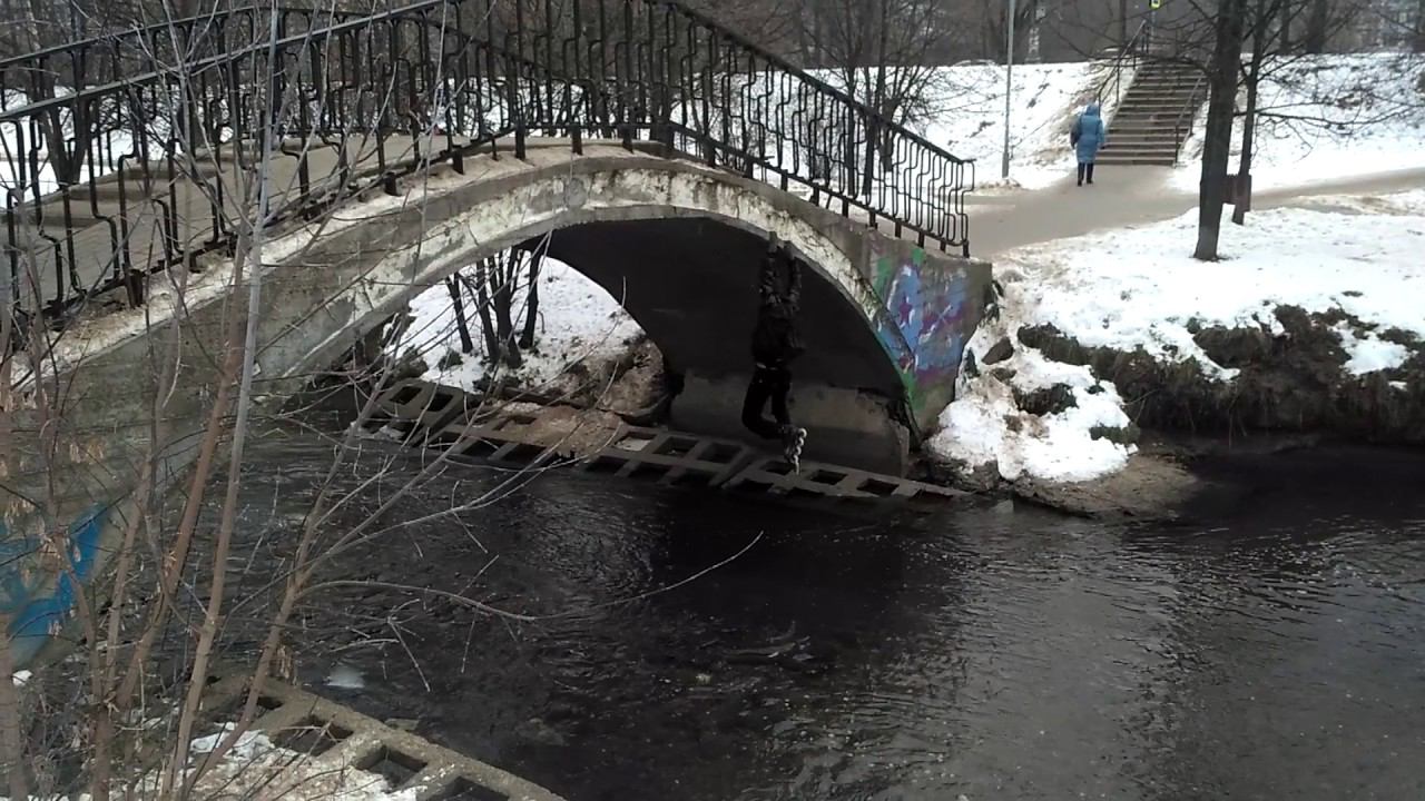 Слабоумие и отвага