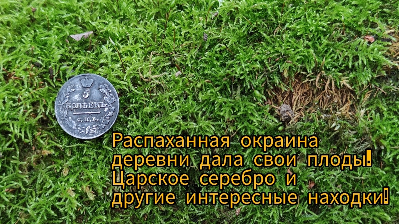 Распаханная окраина деревни дала свои плоды.