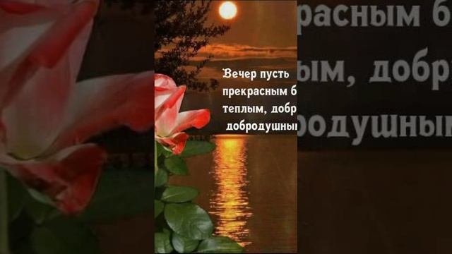 Добрый вечер!.mp4