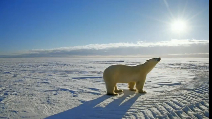 северный ветер