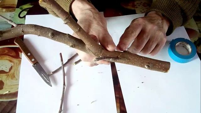 Прививка садовых деревьев. Самый простой и надежный способ прививки яблонь.