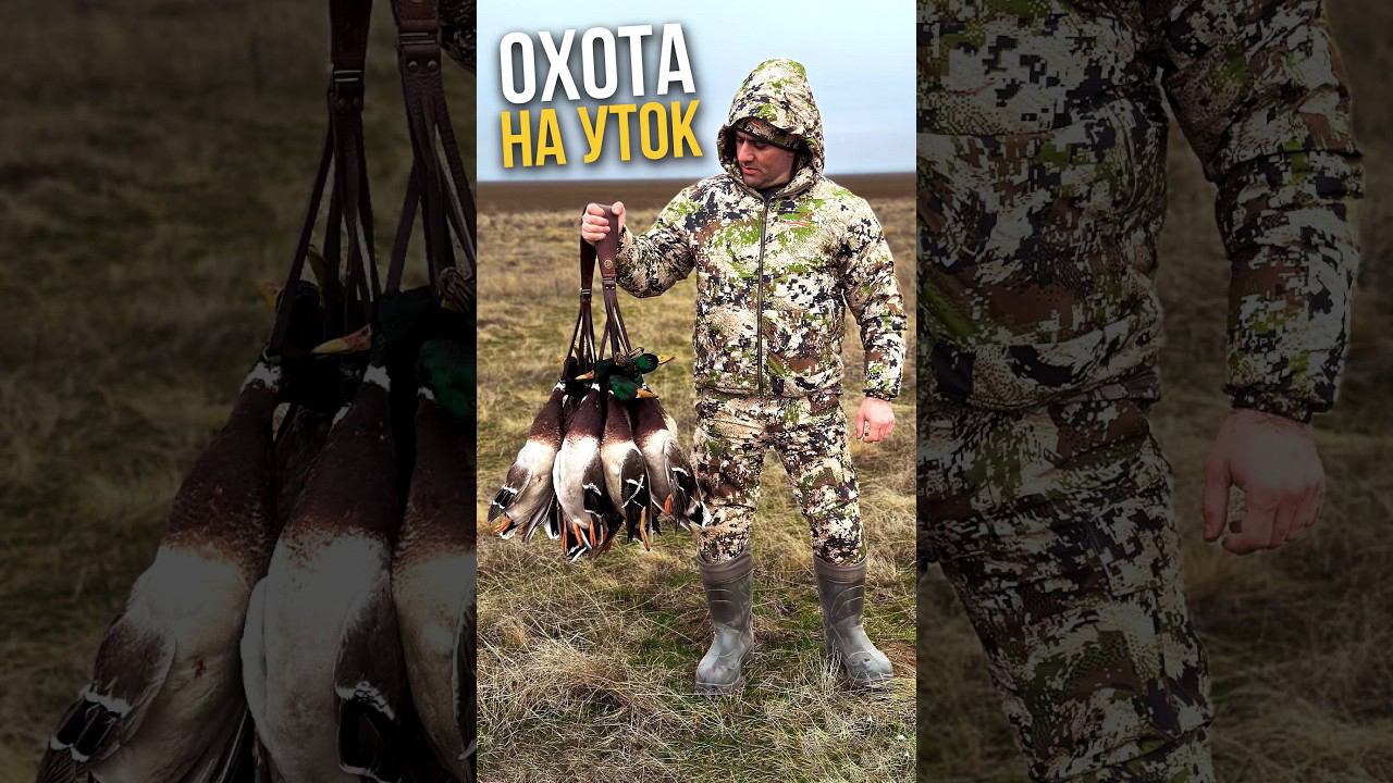 ПРИМАНИЛИ ОГРОМНУЮ СТАЮ УТОК! #охотарыбалка #добыча #охота #охотавроссии #утка #охотанауток
