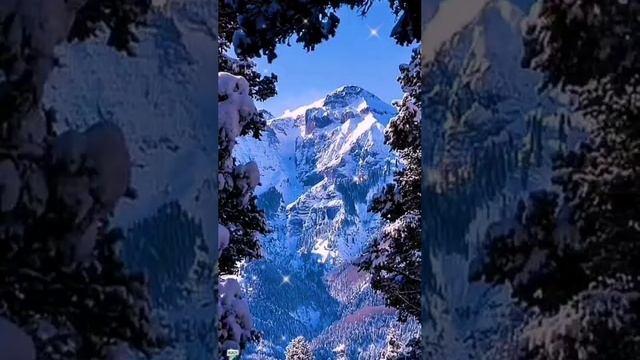 Доброго утра