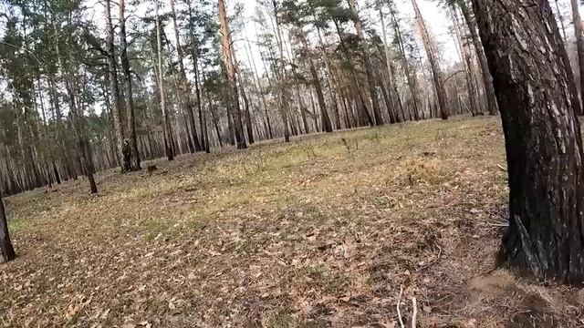 Коротко о том, кто воюет против РФ в Украине