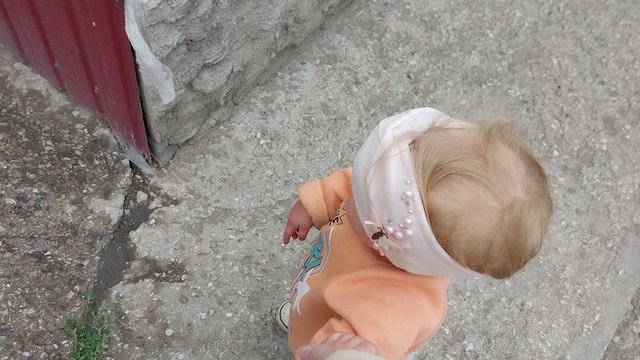 1 выпуск. Поход в театр, кратко о членах семьи, Жака о муравьях.