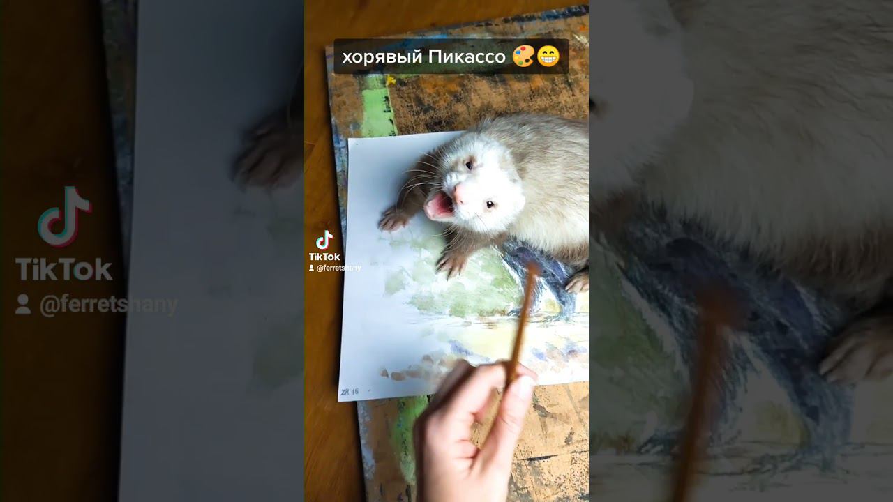 9 января 2022 г.