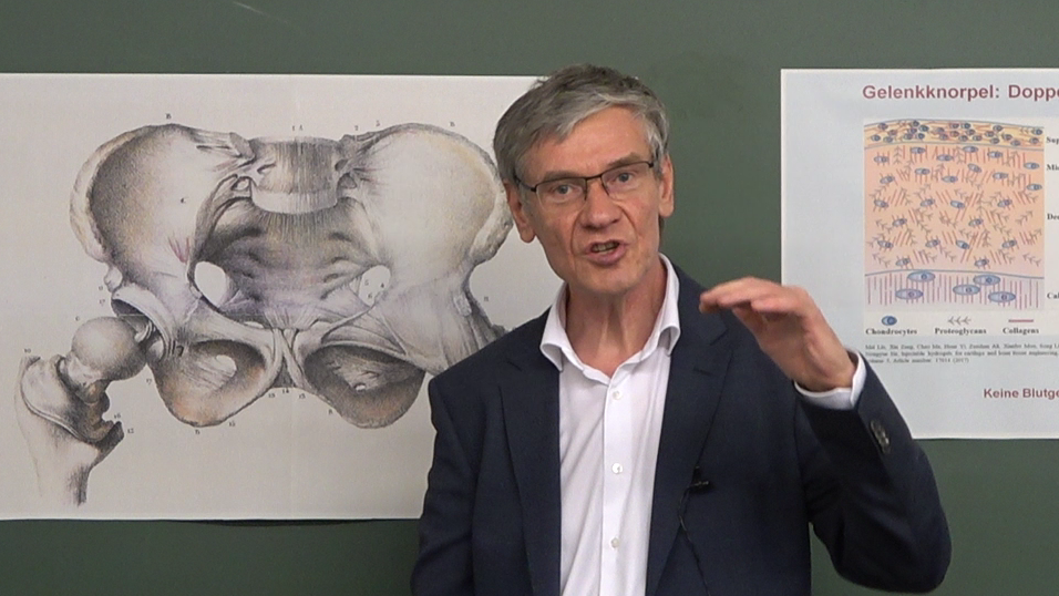 Gesunde Gelenke aus mechanischer Sicht