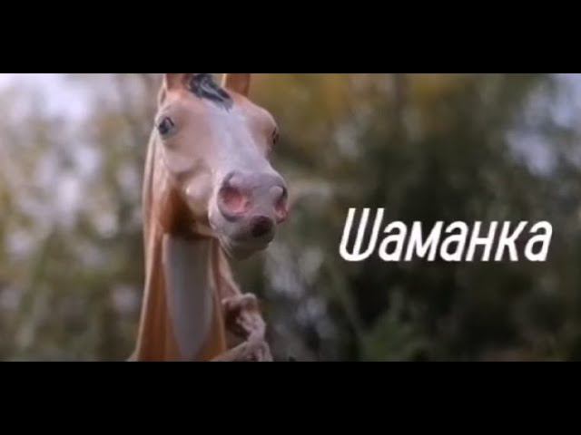 Мини фильм Шляйх. Шаманка