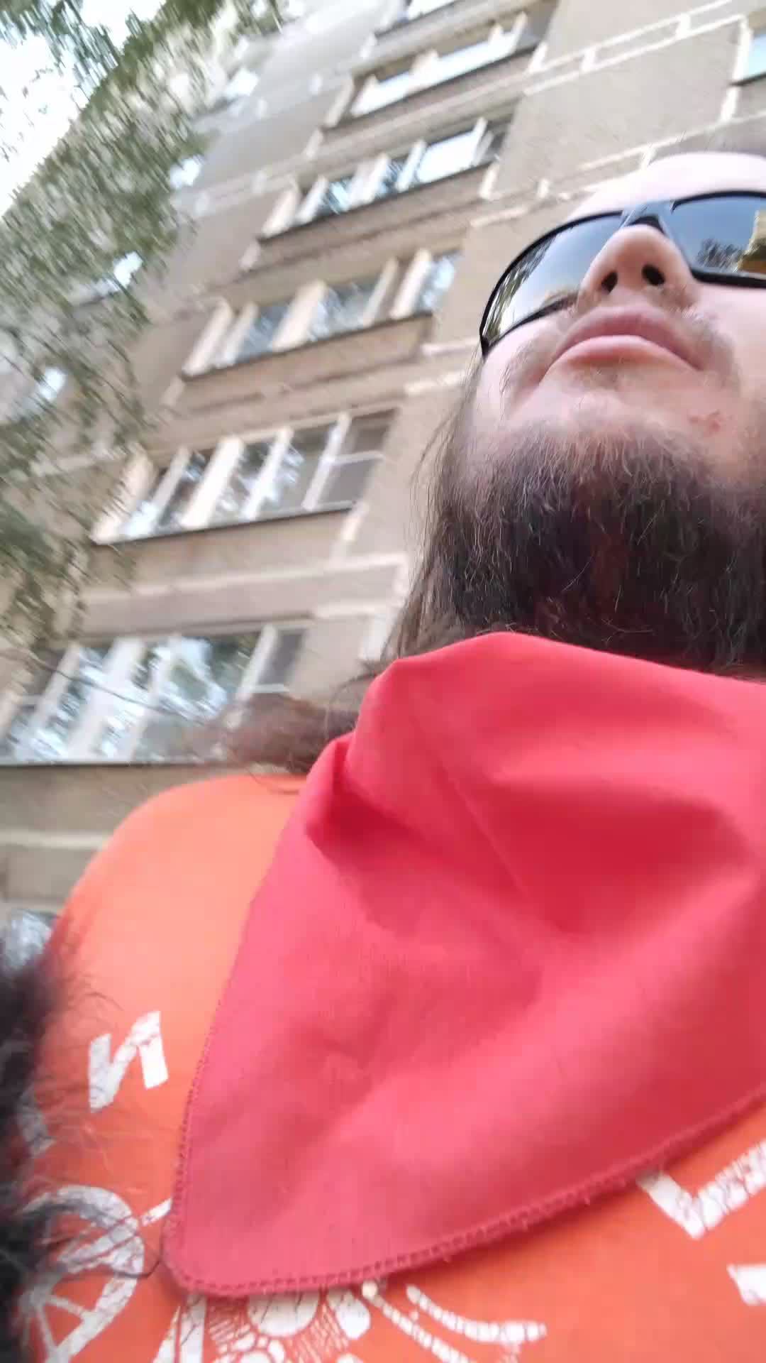 Прогулки с собаками, 29-авг-2024, 4