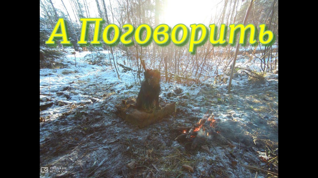 Правила охоты и охотнички. Рассуждалки.