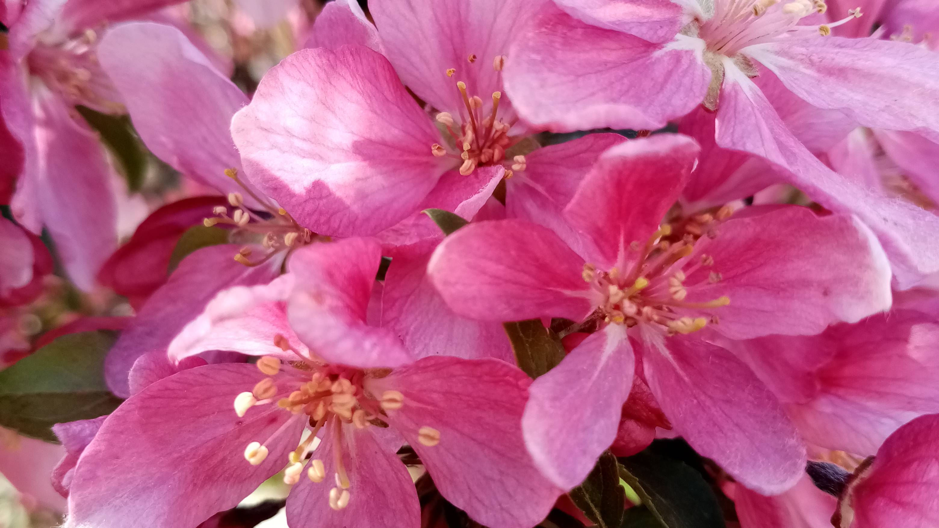 Город -сказка.