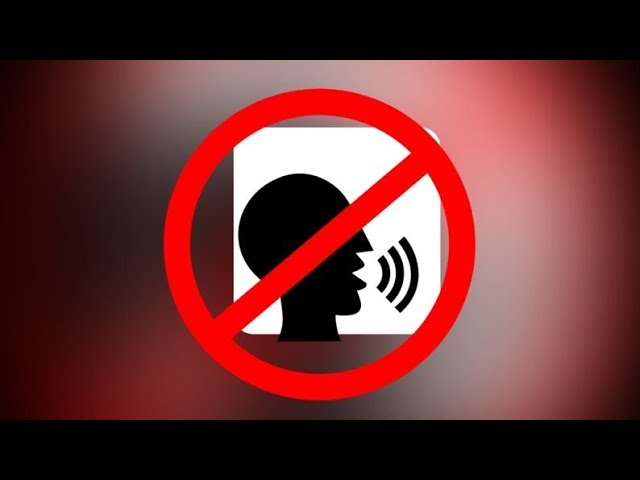 Мелкое хулиганство ст.20.1 КоАП