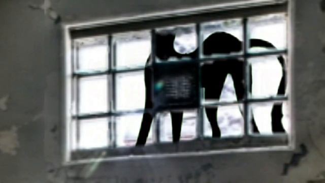 Айболит на зоне Начало.сезон 1 серия 4 кланы двух сторон.