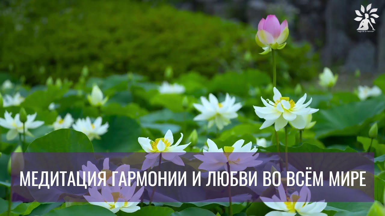 Медитация гармонии и любви во всём мире