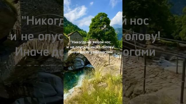 Мудрые мысли великих. Путь.