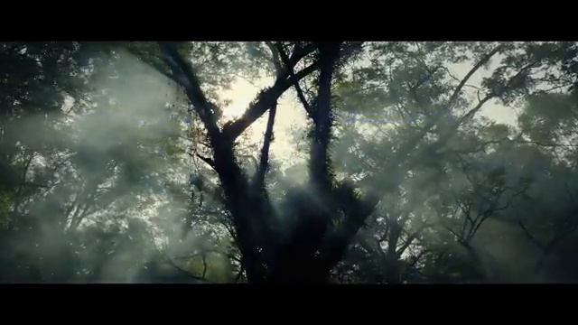 HONDA CR-V для перфекционистов