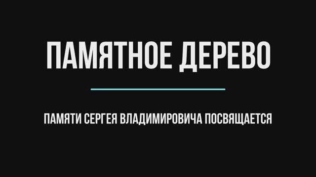 Tree_memory_SV_mob.mp4