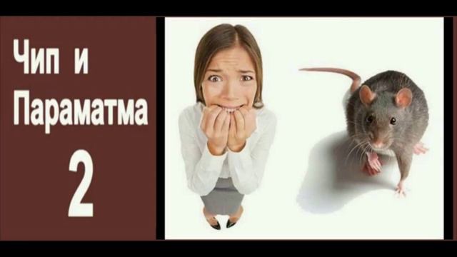 ЧИП  И  ПАРАМАТМА - 2