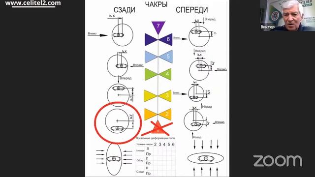 Генетическая тромбофилия. Повышенный холестерин, густая кровь, тромбы, расширение вен. Руденко В.В.