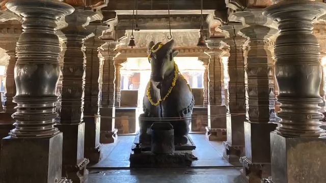 Зимний ретрит в Гокарне