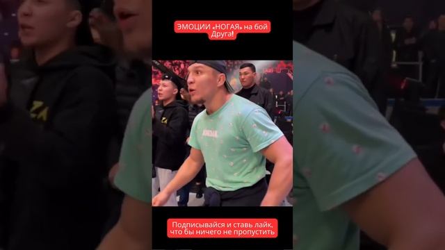 ЭМОЦИИ «НОГАЯ» на бой Друга!#fight #mma #popmma #reels #ufc #ufc4
