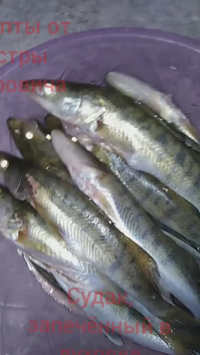 Самый лёгкий способ приготовить рыбу.