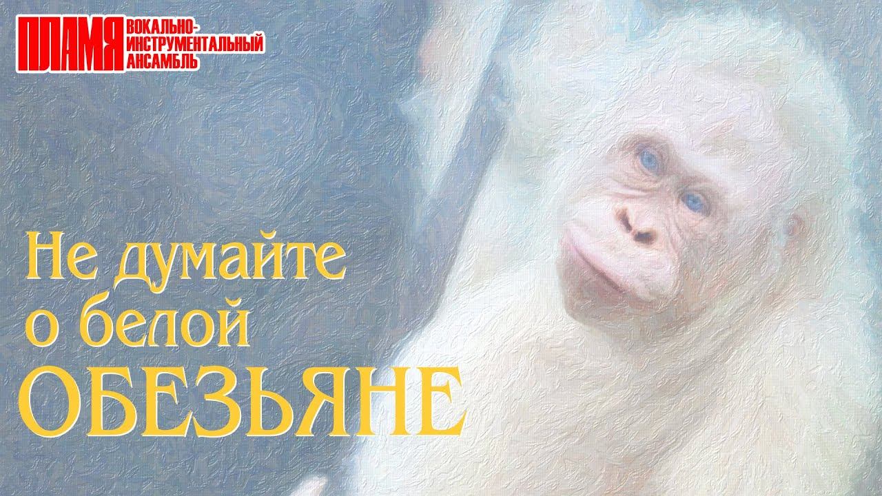 ВИА "ПЛАМЯ" - Не думайте о белой обезьяне | Солистка И. Шачнева (1988)