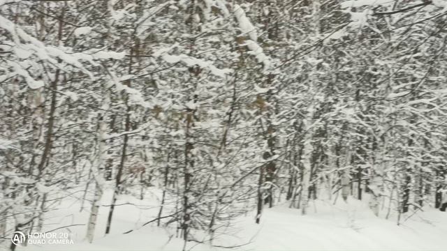 Что проходимее нива 3D или 5D на 31-х + блокировка.mp4