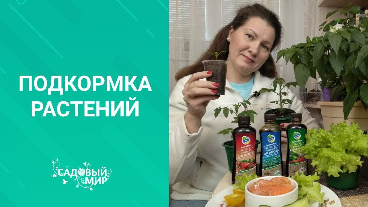 100% органические подкормки для томатов и огурцов. Кормите любимых только натуральным!