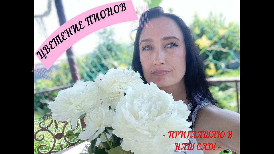 #пионы ПИОНЫ ОТ ЗАКАТА ДО РАССВЕТА!ЦВЕТЕНИЕ ПИОНОВ!ФОТОСЕССИЯ!)#пионывсаду#белыепионы#пионычашакрасо