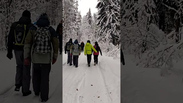 Декабрьский пеший поход 12.21