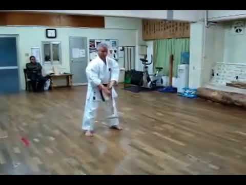 Goju Ryu karate-do. Sensei Masakazu Kuramoto. Hojo Undo traning.