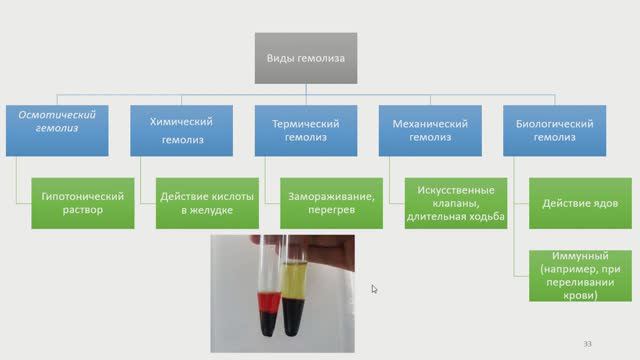 Физиология крови. Часть 2, общий анализ крови.