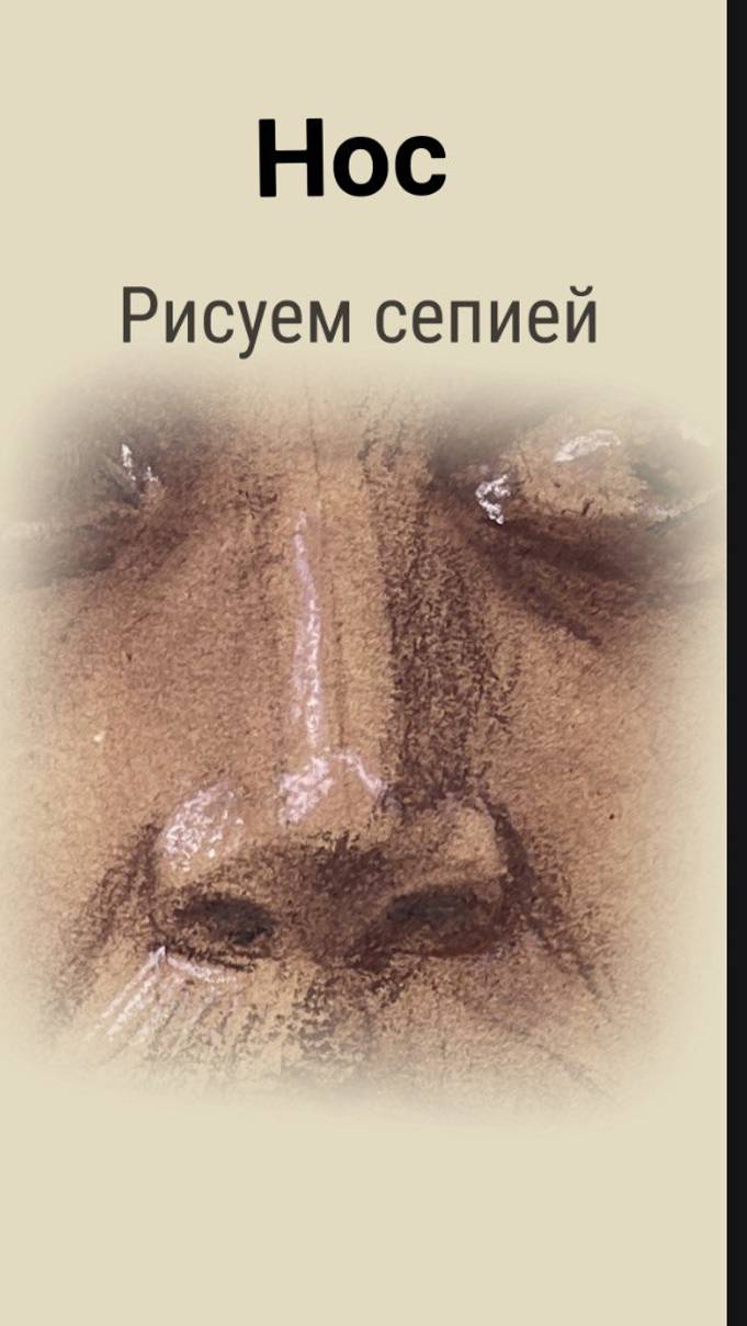 Нос - рисуем сепией - по шагам