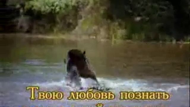 18жизнь посвящаю Тебе.mp4