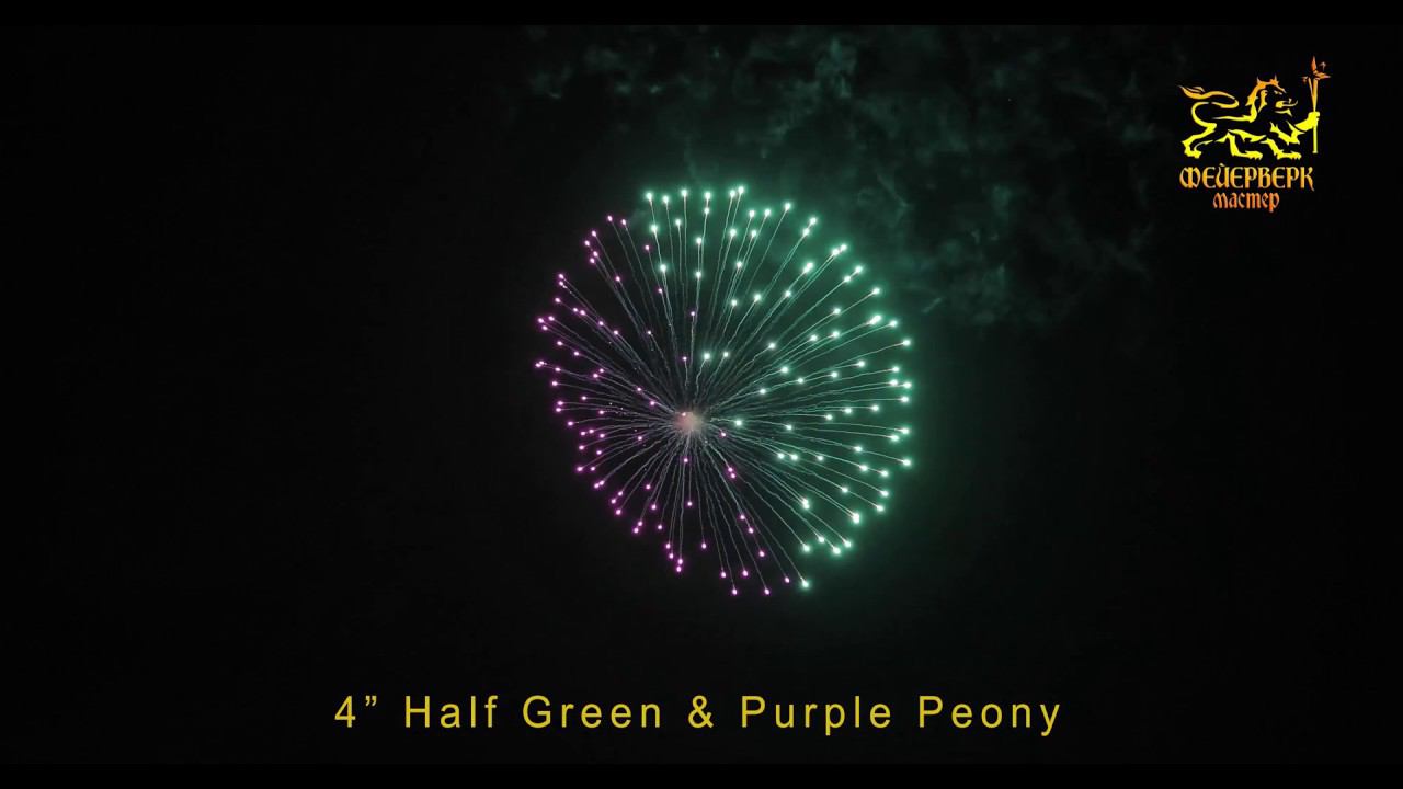 4"Half Green & Purple Peony