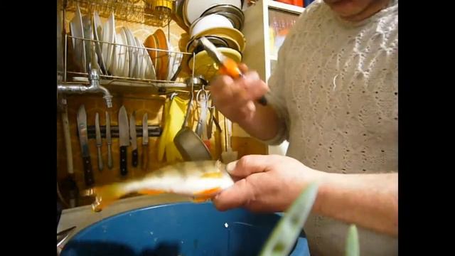 Забытый метод чистки окуня в деревне #сезонконтентаRUTUBE