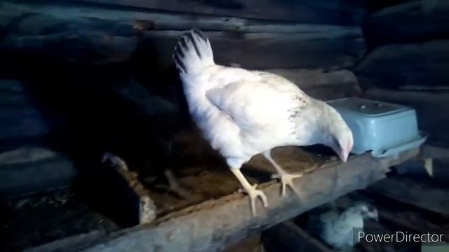 обзор хозяйства на апрель месяц