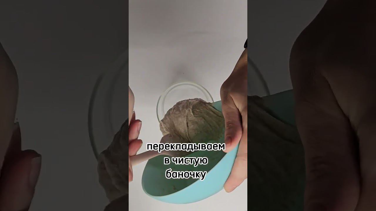 как кормить Пшеничную Закваску