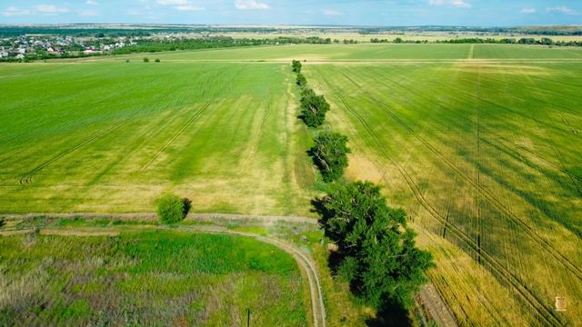 Суровикино сверху.