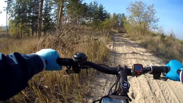 Велопокатушка №8. [4K] По лесам и пескам