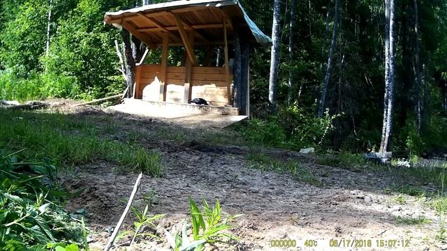 Птицы, запечатленные на фото ловушку. Часть № 29